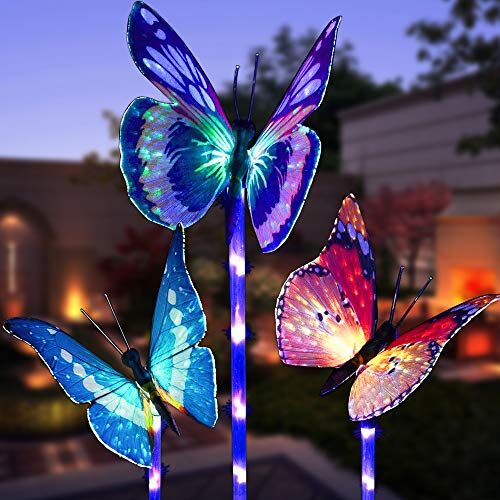 multi colour solar lights
